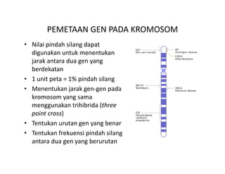 Linkage dan dan crossing over | PPT