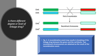 LINKAGE DRAG BY ANKIT RAJ.pptx