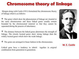 Linkage & its evolution by Swapnil Anand.pptx