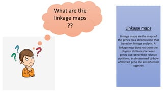 Linkage map of oryza sativa l. | PPT