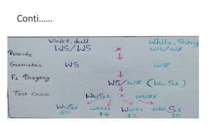 Linkage mapping | PDF