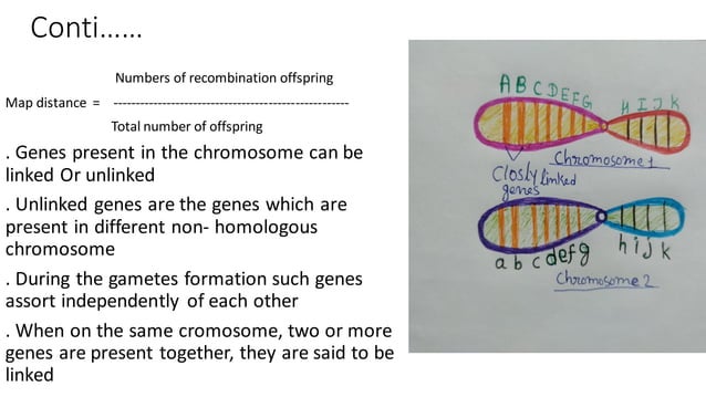 Linkage mapping | PDF