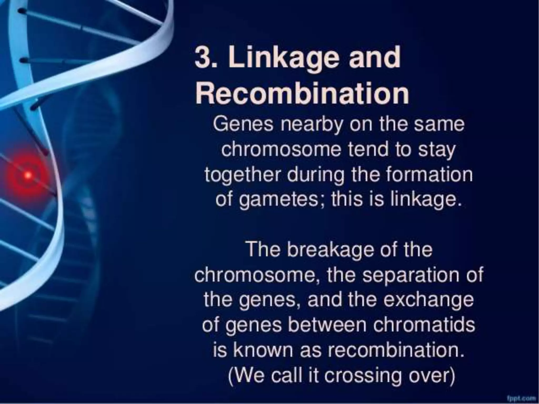 Linkage map ping by recombination in human phyisology ii | PPTX
