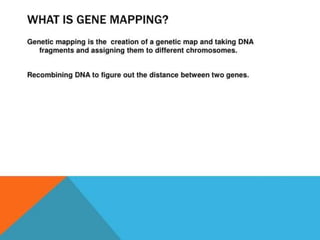 Linkage map ping by recombination in human phyisology ii | PPTX