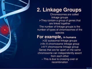 Linkage map ping by recombination in human phyisology ii | PPTX
