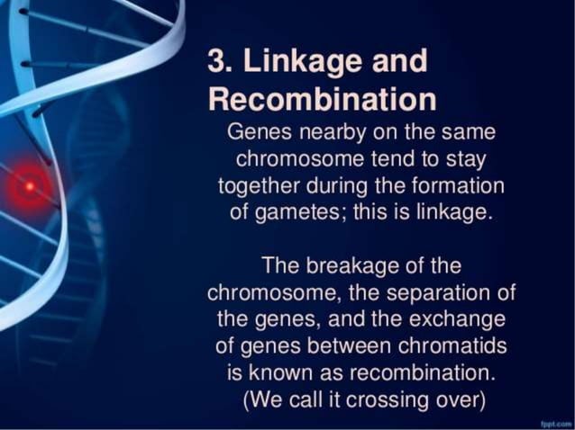 Linkage map ping by recombination in human phyisology ii | PPTX