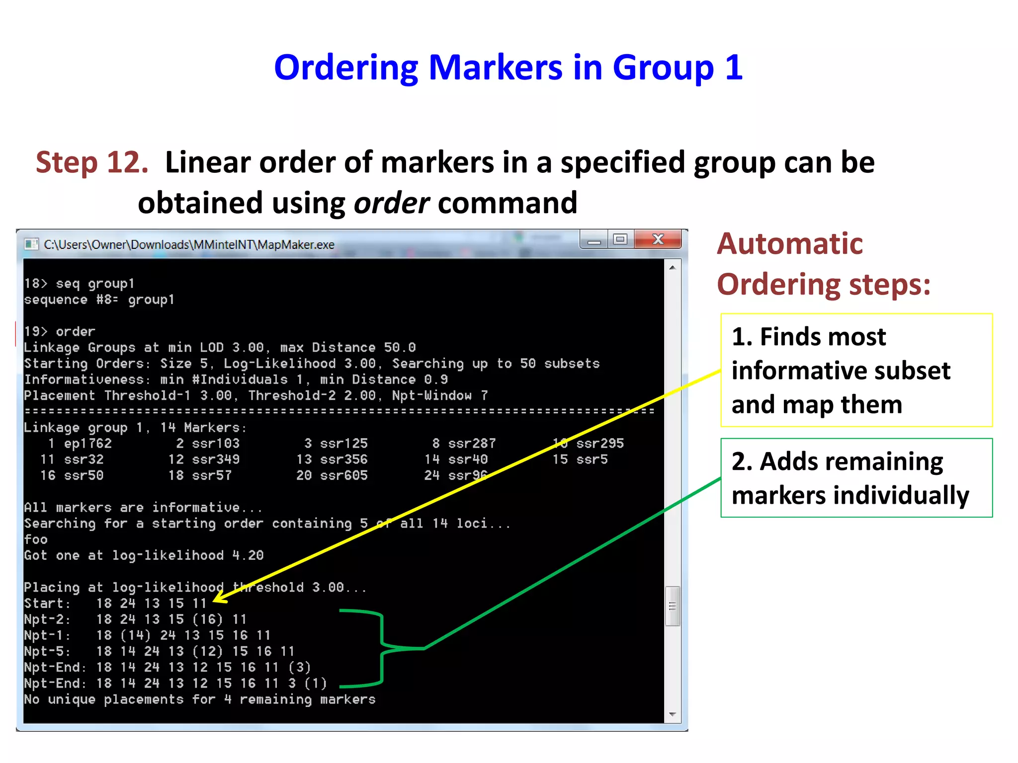 Linkage mapping lab | PPTX