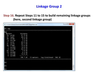 Linkage mapping lab | PPTX