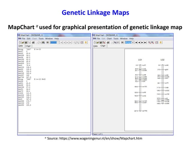 Linkage mapping lab | PPTX | Genetics | Science