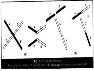 linkage PROCESS AND ITS TYPES AND APPLICATIONS | PDF