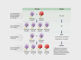 linkage PROCESS AND ITS TYPES AND APPLICATIONS | PPT