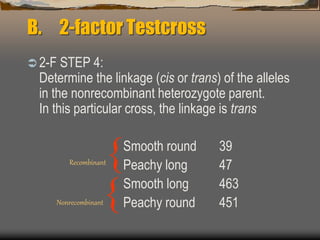 linkage Prashant.ppt | Genetics | Science