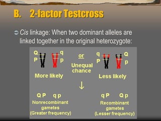 linkage Prashant.ppt | Genetics | Science