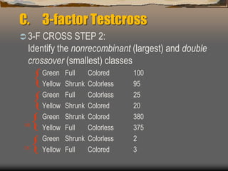 linkage Prashant.ppt | Genetics | Science