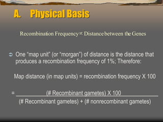 linkage Prashant.ppt | Genetics | Science