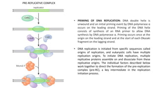 Link between replication and cell cycle | PPTX