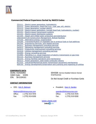 Link Resources SDVOSB Capabilities Statement 2013 | PDF | Power and ...