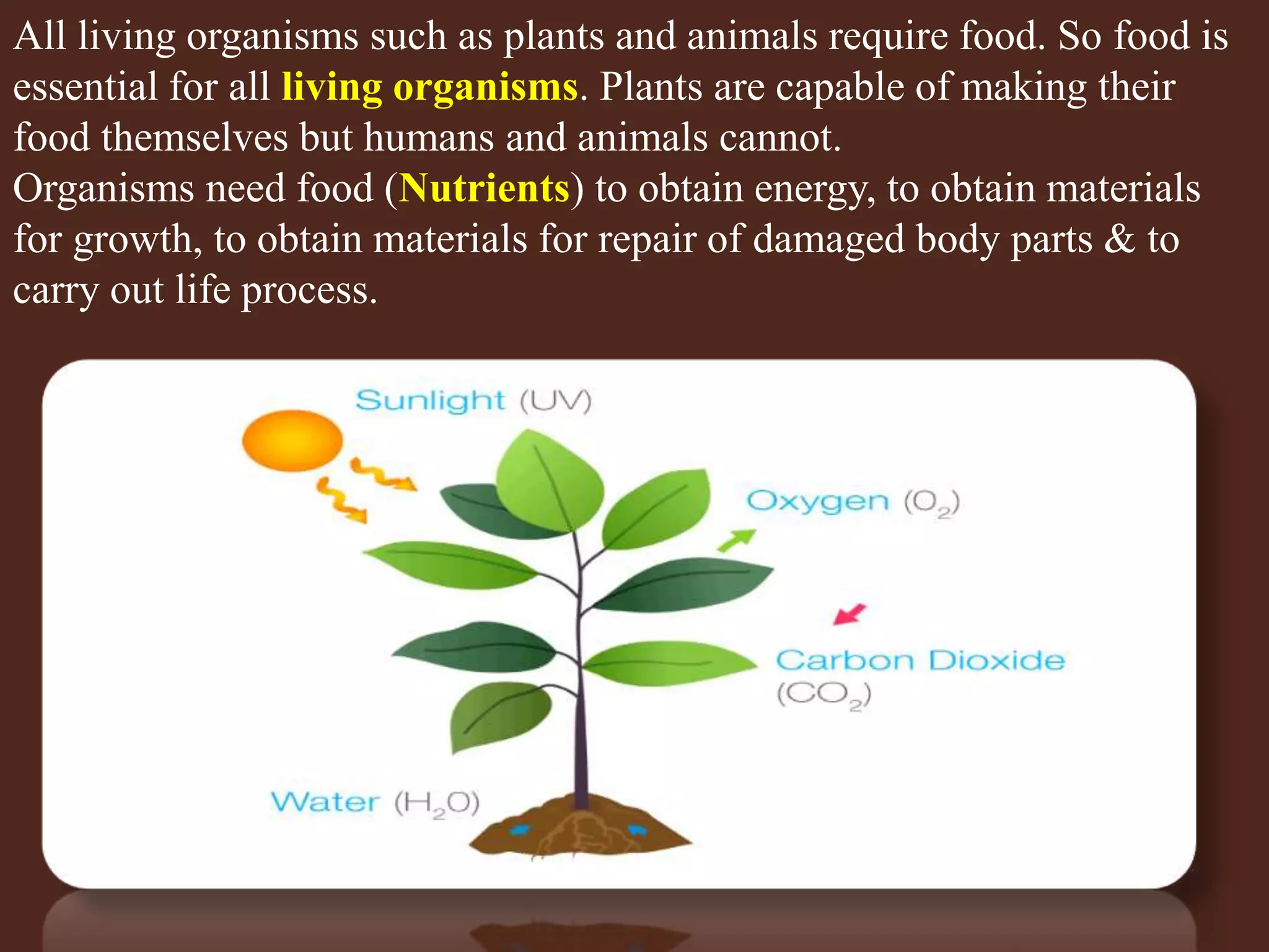 NUTRITION IN PLANTS-1 (CLASS-VII) CBSE | PPTX