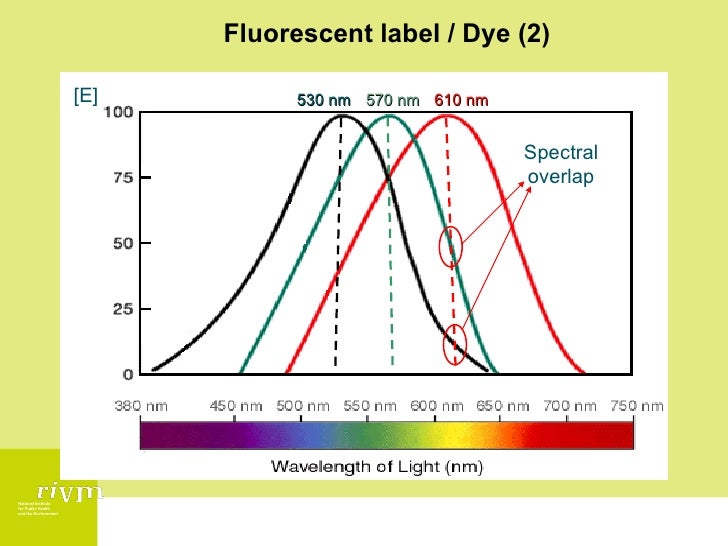 Multiplex qPCR