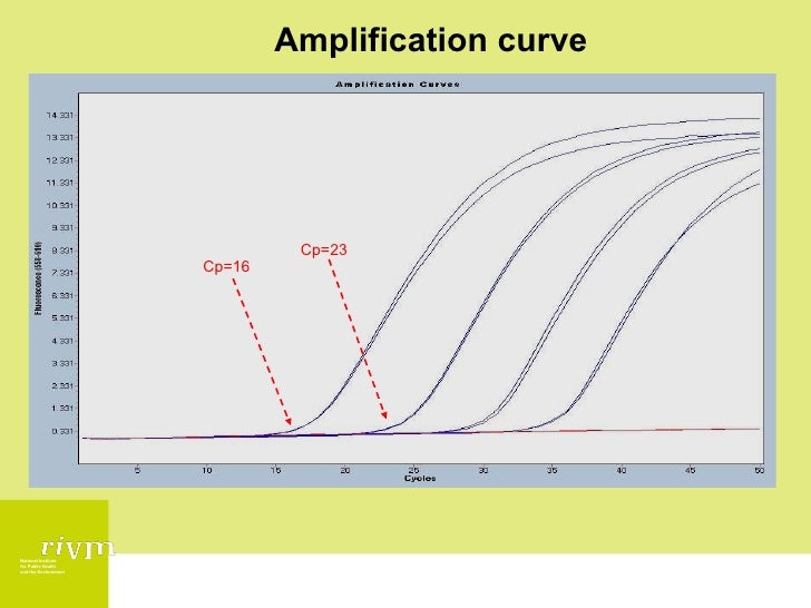 Multiplex qPCR