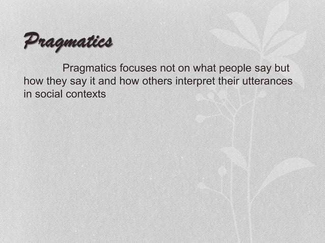 Semantic and Pragmatic | PPTX