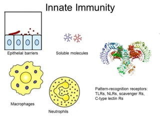 natural resistance of body against infection | PPTX