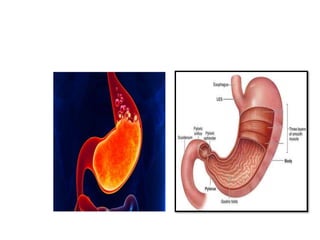 natural resistance of body against infection | PPTX