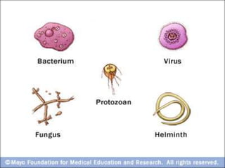 natural resistance of body against infection | PPTX