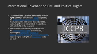International Bill of Human Right | PPTX