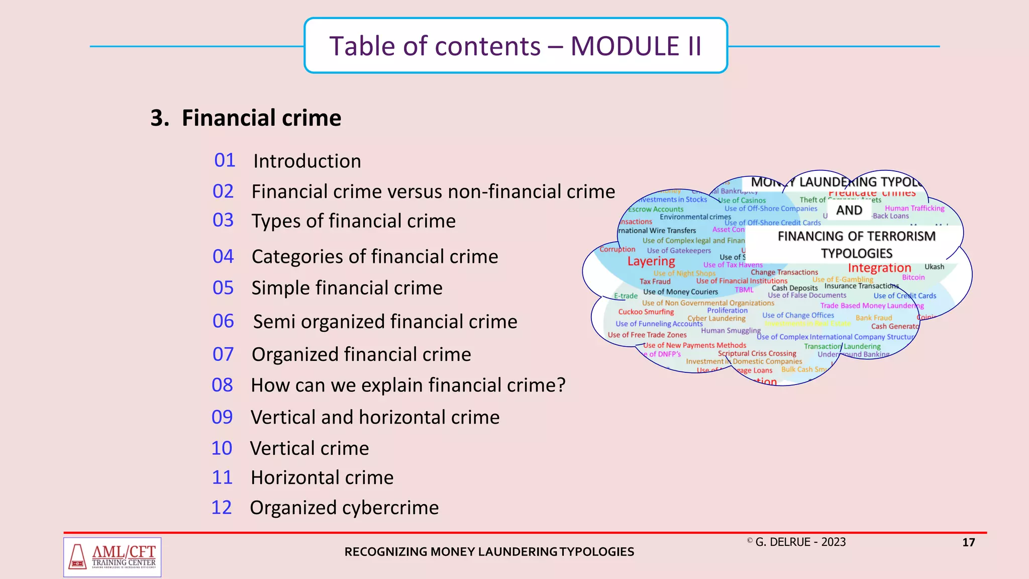 LEARNING TO RECONGNIZE MONEY LAUNDERING TYPOLOGIES - 2023 | PPT