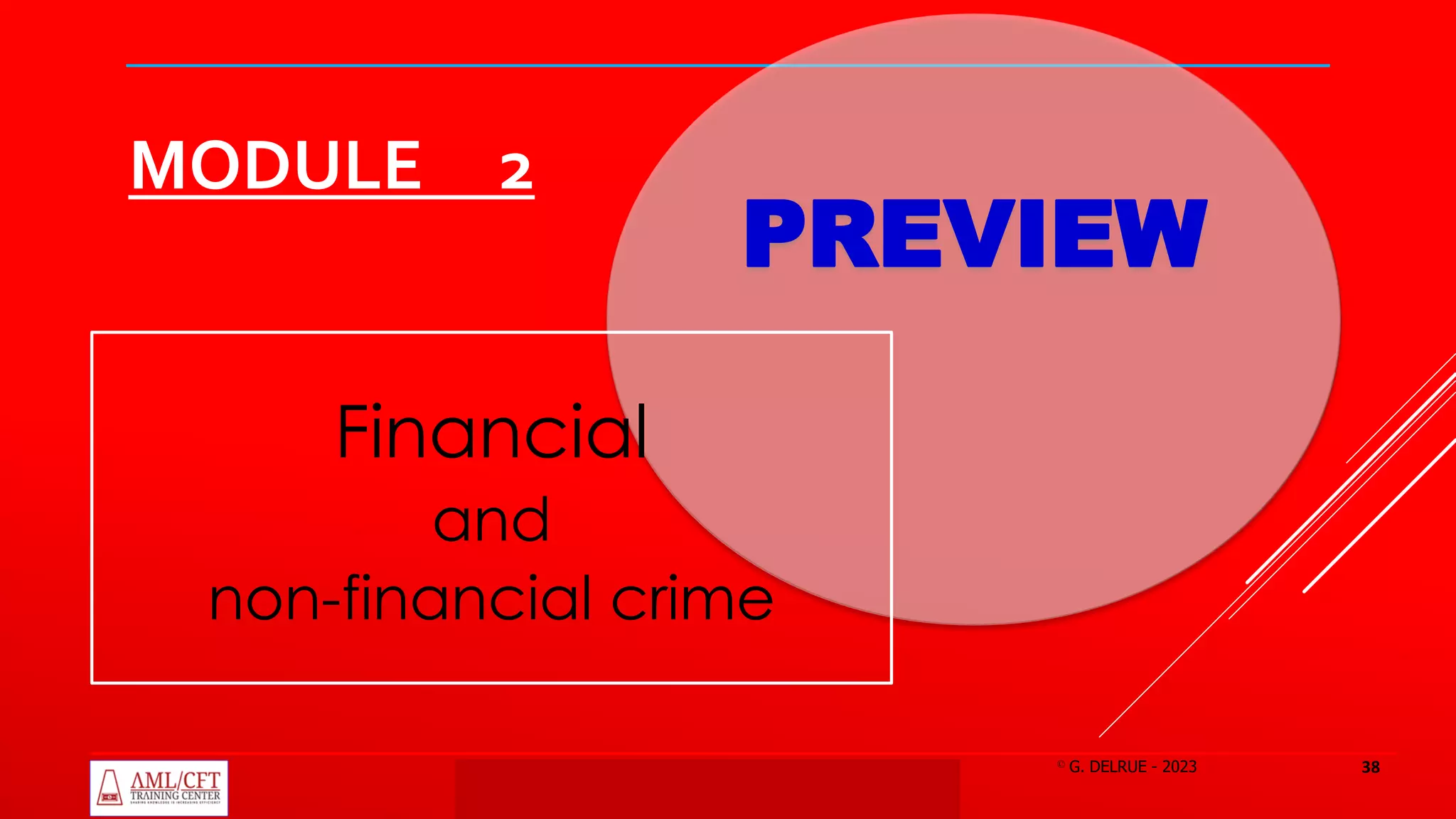 LEARNING TO RECONGNIZE MONEY LAUNDERING TYPOLOGIES - 2023 | PPT