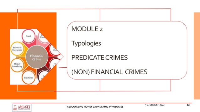 LEARNING TO RECONGNIZE MONEY LAUNDERING TYPOLOGIES - 2023 | PPT