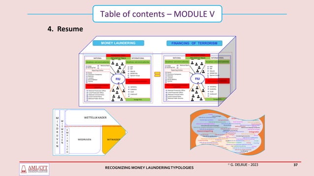 LEARNING TO RECONGNIZE MONEY LAUNDERING TYPOLOGIES - 2023 | PPT