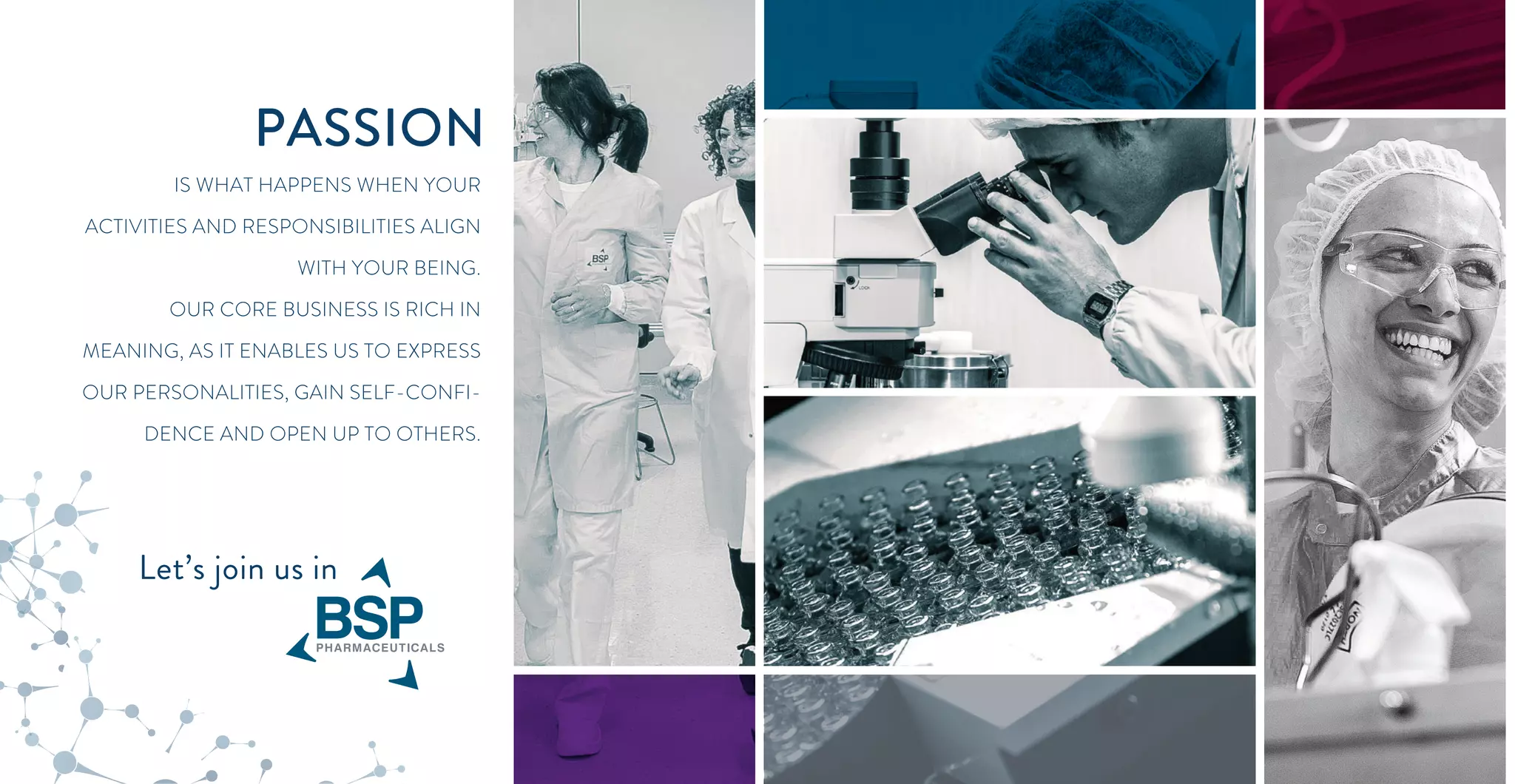 BSP Pharmaceuticals | PPT