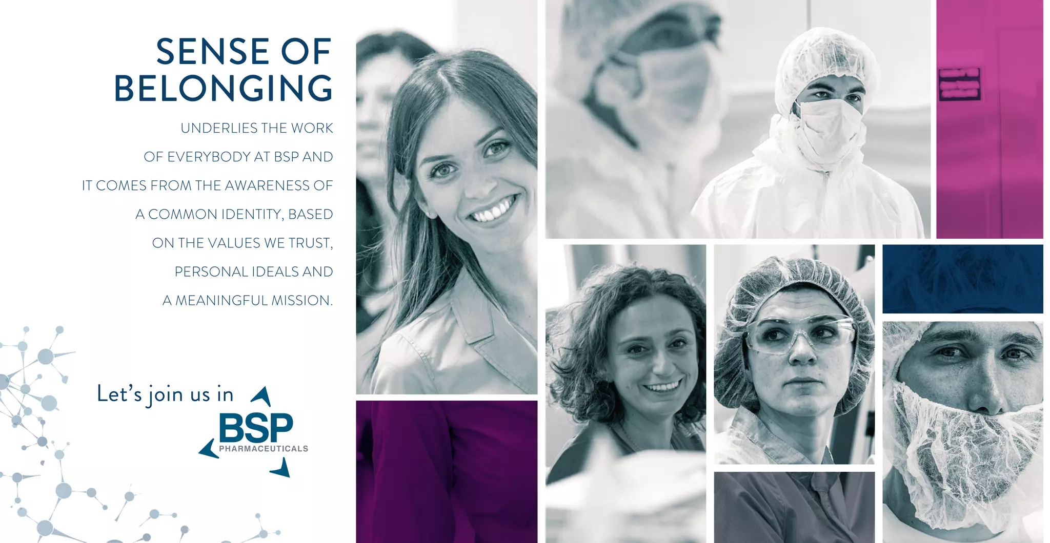 BSP Pharmaceuticals | PPT