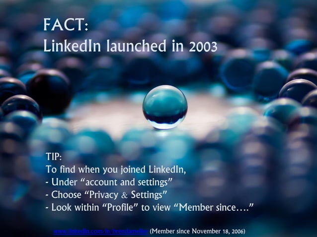 6 Interesting Facts About LinkedIn | PDF