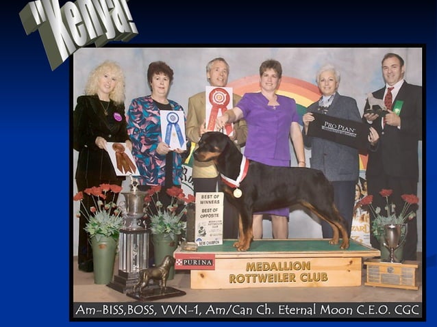 Linda Draper's Art and Show dogs | PPT