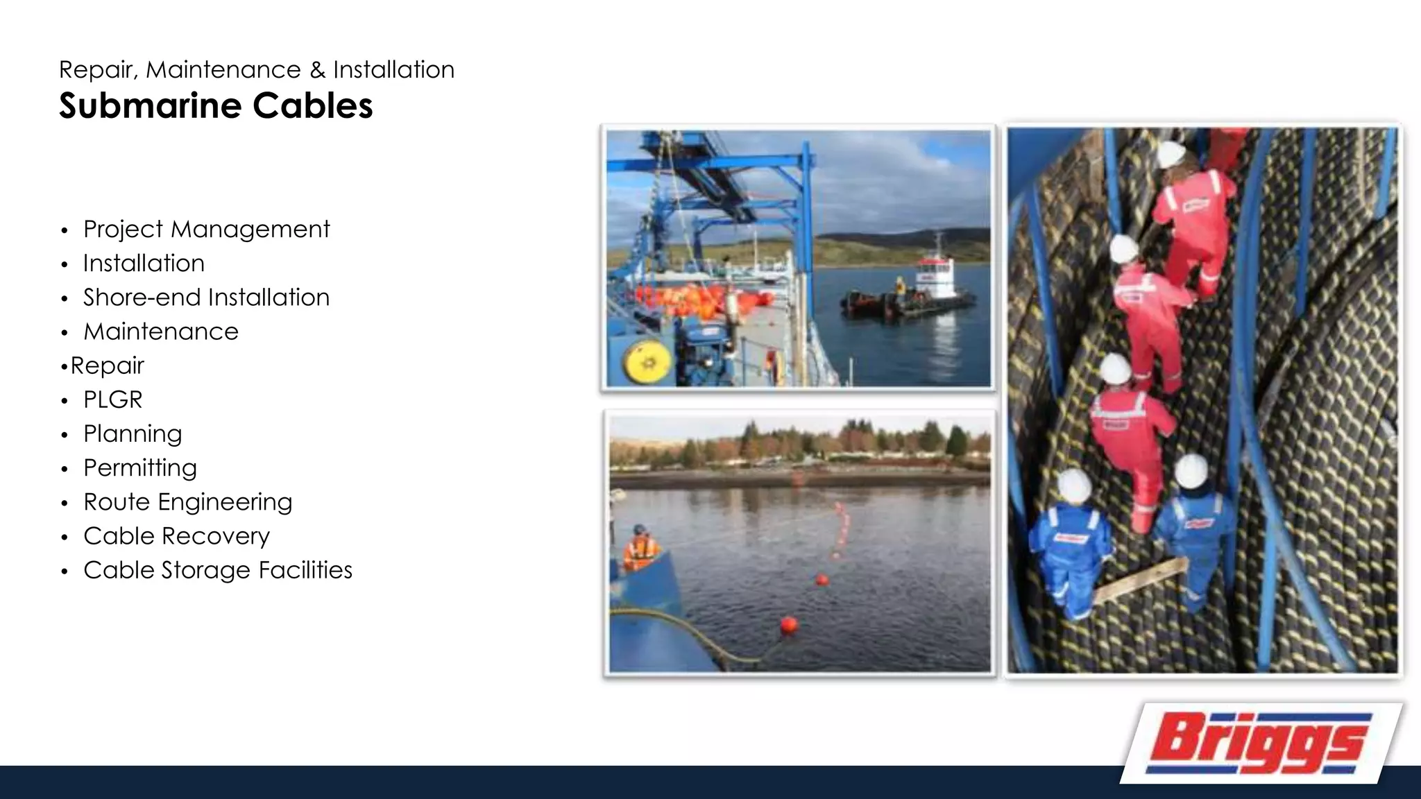 Briggs Group Presentation | PPT