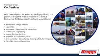 Briggs Group Presentation | PPTX