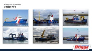 Briggs Group Presentation | PPTX