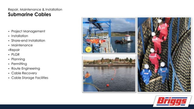 Briggs Group Presentation | PPTX