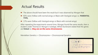 Linked inheritance | PPTX
