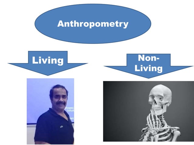 Kinanthropometry- The Interaction between Human structure and Function ...
