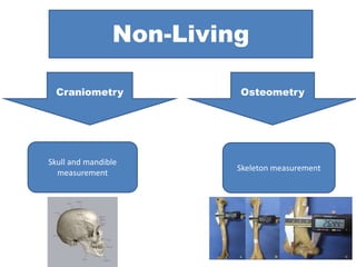 Kinanthropometry- The Interaction between Human structure and Function | PPTX