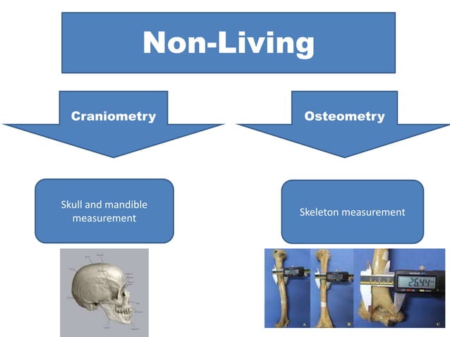 Kinanthropometry- The Interaction between Human structure and Function ...