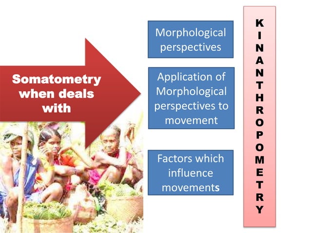 Kinanthropometry- The Interaction between Human structure and Function ...