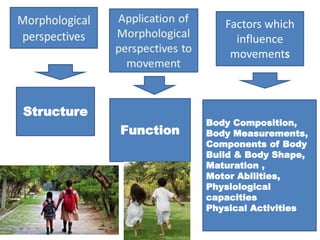 Kinanthropometry- The Interaction between Human structure and Function ...