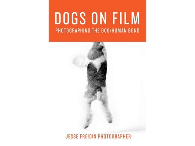 Black and White Dog Photography by Jesse Freidin | PPTX