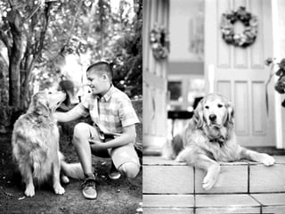 Black and White Dog Photography by Jesse Freidin | PPT