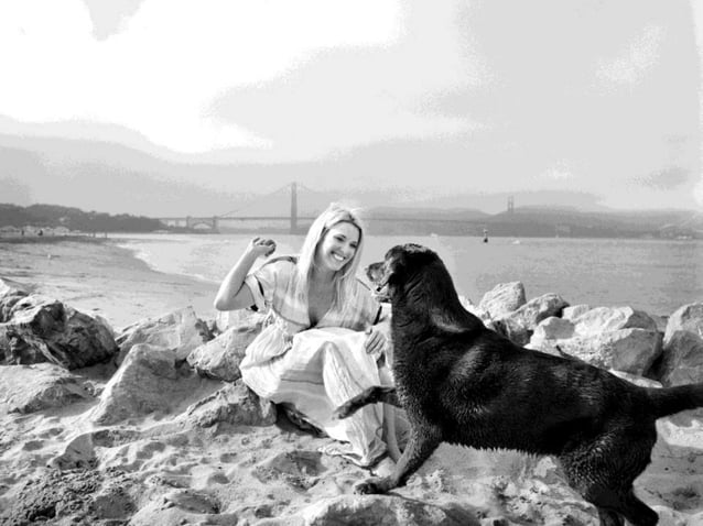 Black and White Dog Photography by Jesse Freidin | PPT